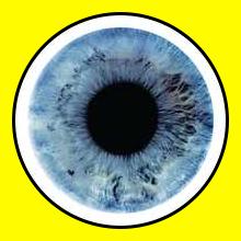 Blue Eyes 2 - Snap Lens Finder