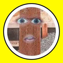 Brick Face - Snap Lens Finder