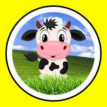 Grazing Cow - Snap Lens Finder