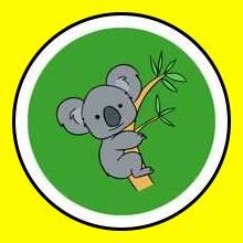 Koala Time - Snap Lens Finder