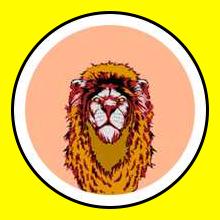 Lion - Snap Lens Finder