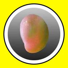 Mango Face - Snap Lens Finder