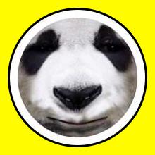 Panda - Snap Lens Finder