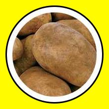 Potato - Snap Lens Finder