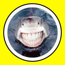 Shark Teeth Meme - Snap Lens Finder