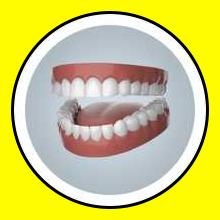 Straight Teeth - Snap Lens Finder